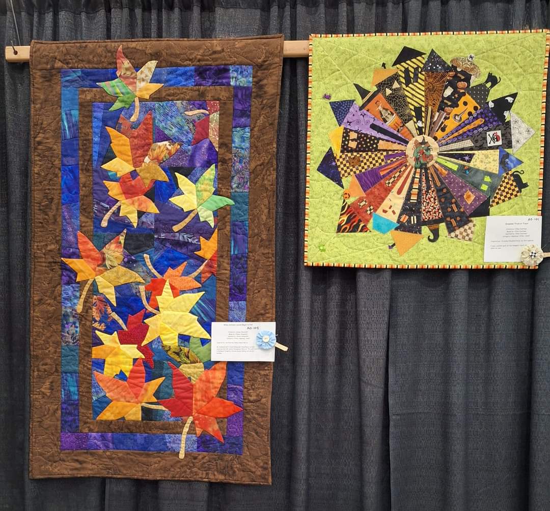 Quilt Show 2024 – The Quilts – Mountain Stars Quilters Guild
